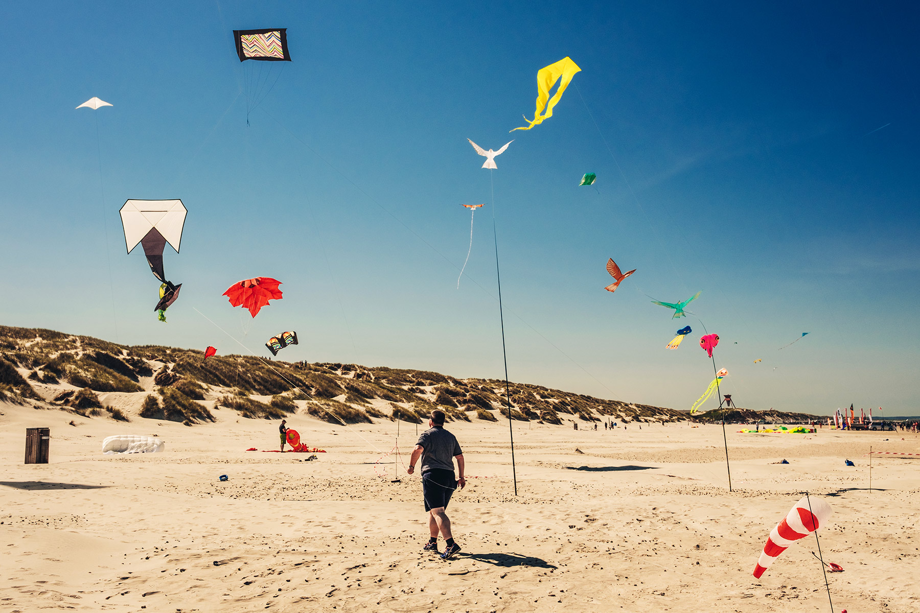 Visit Denmark ENA Times