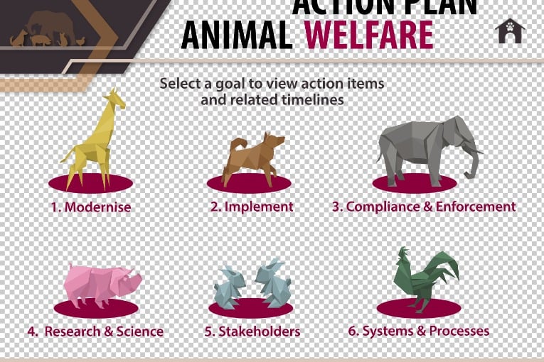 14784 Animal Welfare Action Plan