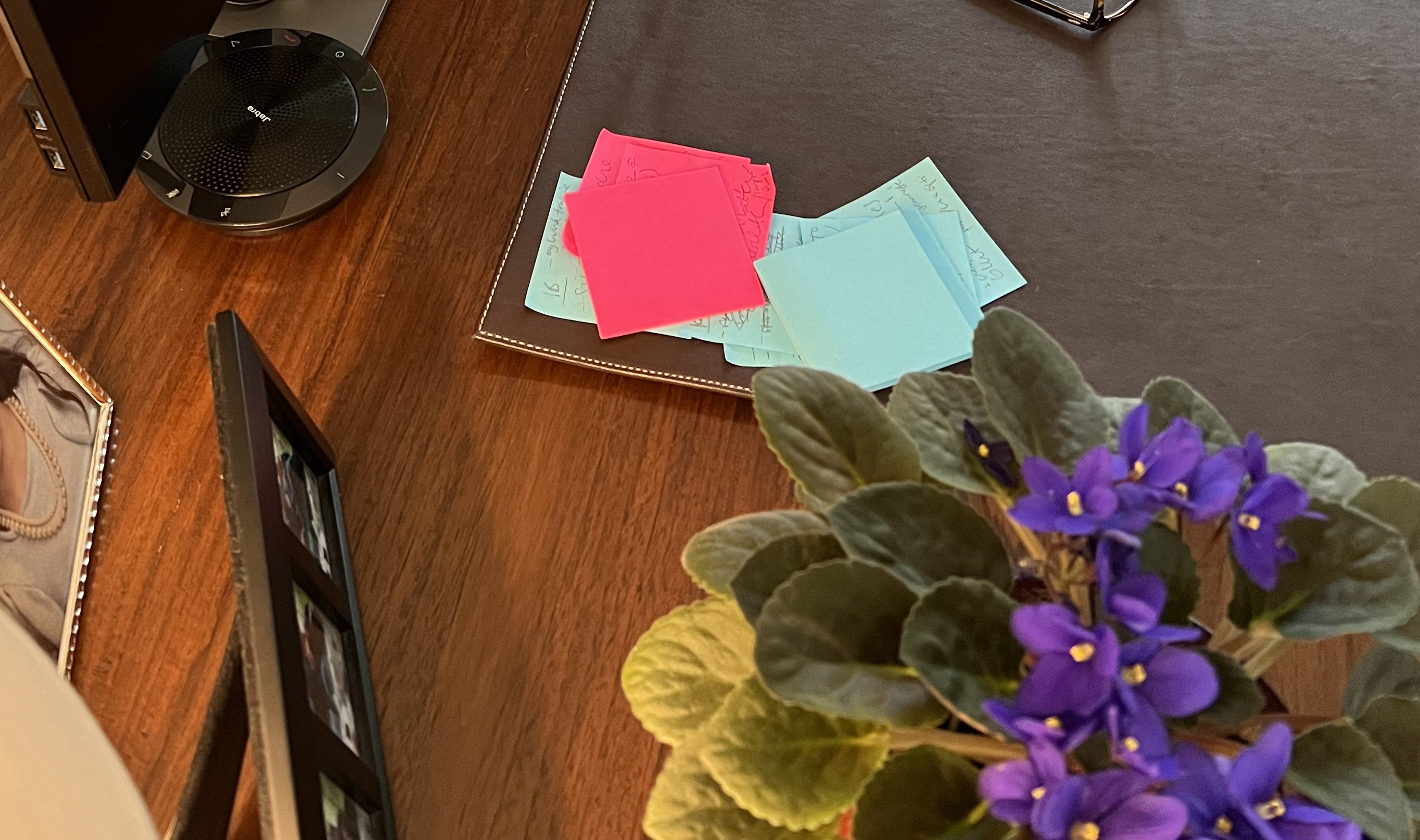 Kristin Fallon - Office - Article