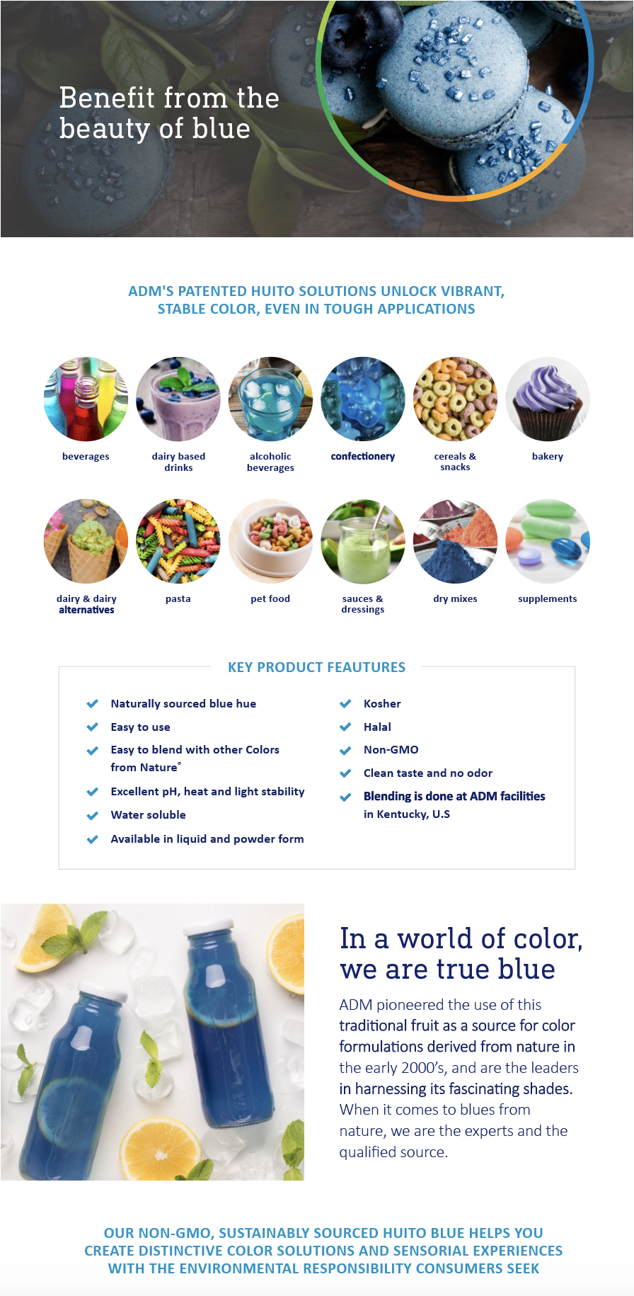 ADM Colors Infographic