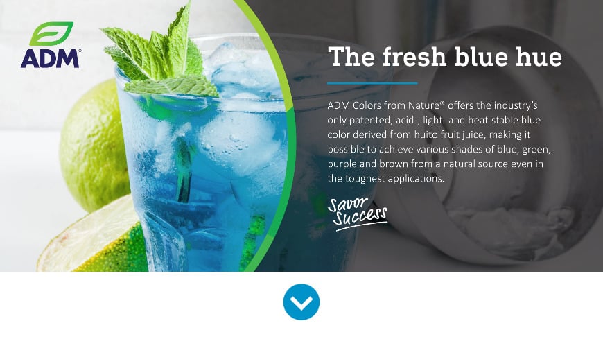 ADM Colors Infographic