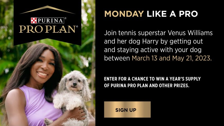 Purina Pro Plan Banner 1