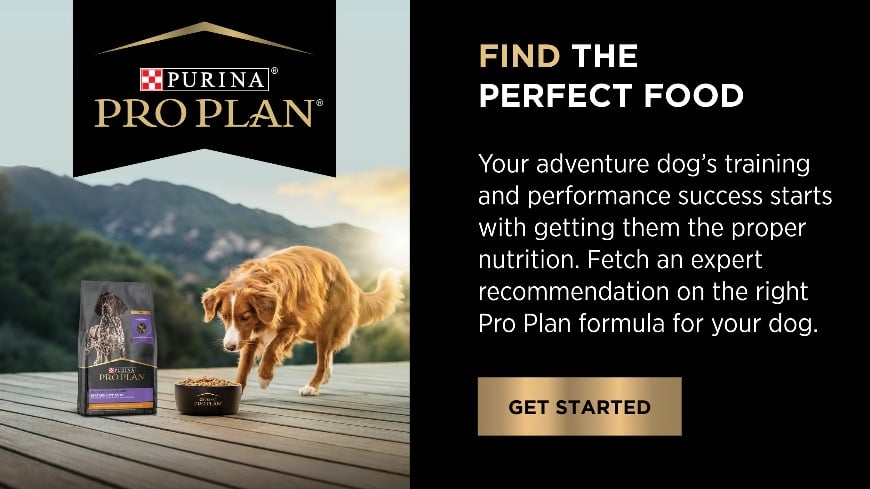 Purina Pro Plan Banner 2