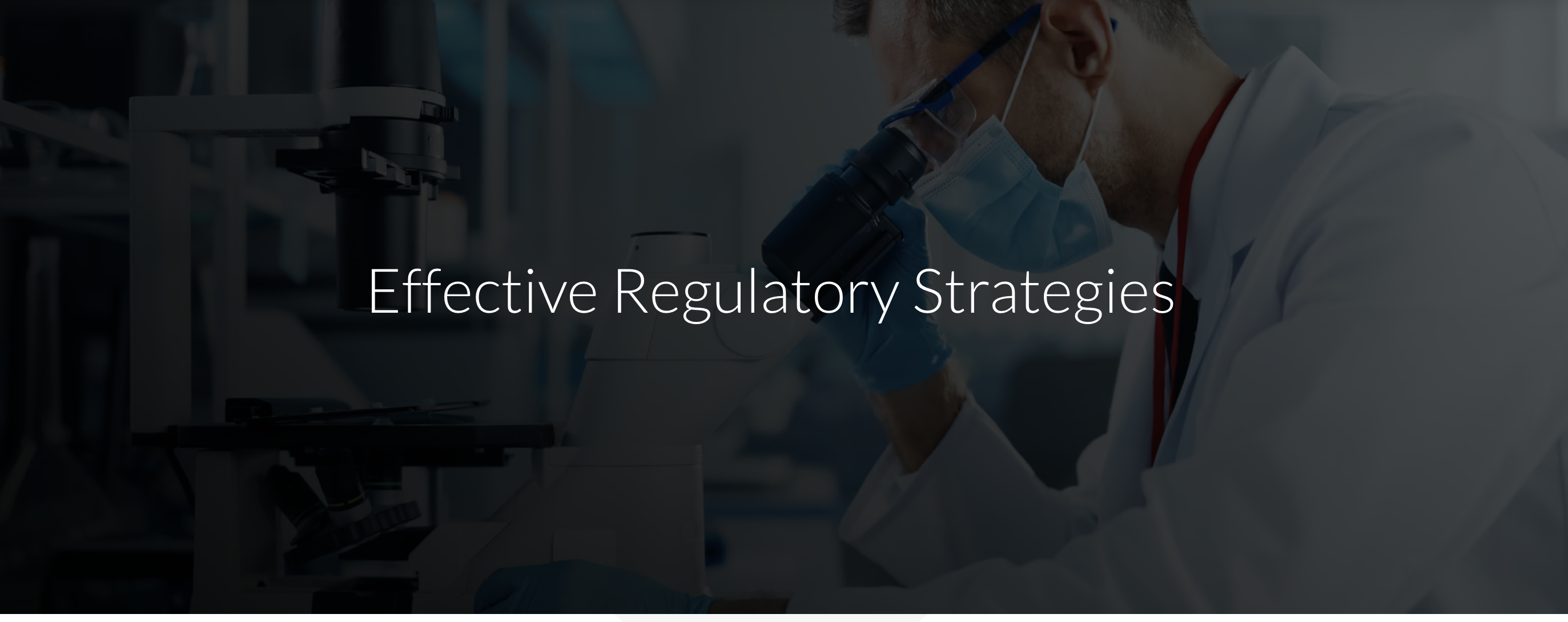 Regulatory Strategies Regulatory Strategies Regulatory Strategies for ...