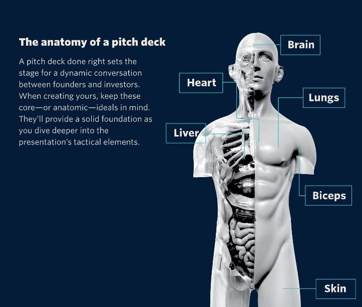 Human anatomy of a pitch deck
