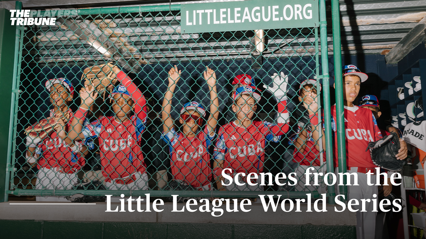 Scenes from the Little League World Series | The Players’ Tribune ...