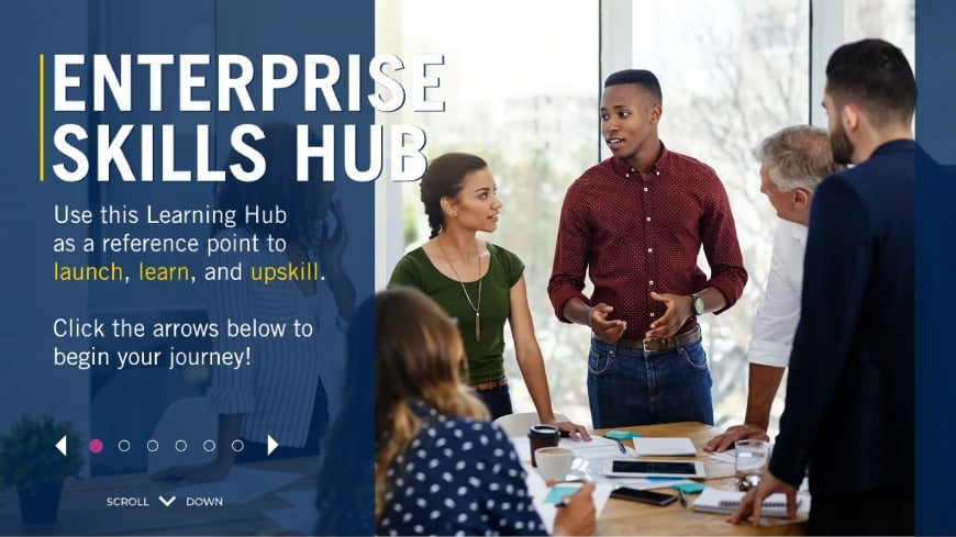 Enterprise Skills Learning Hub