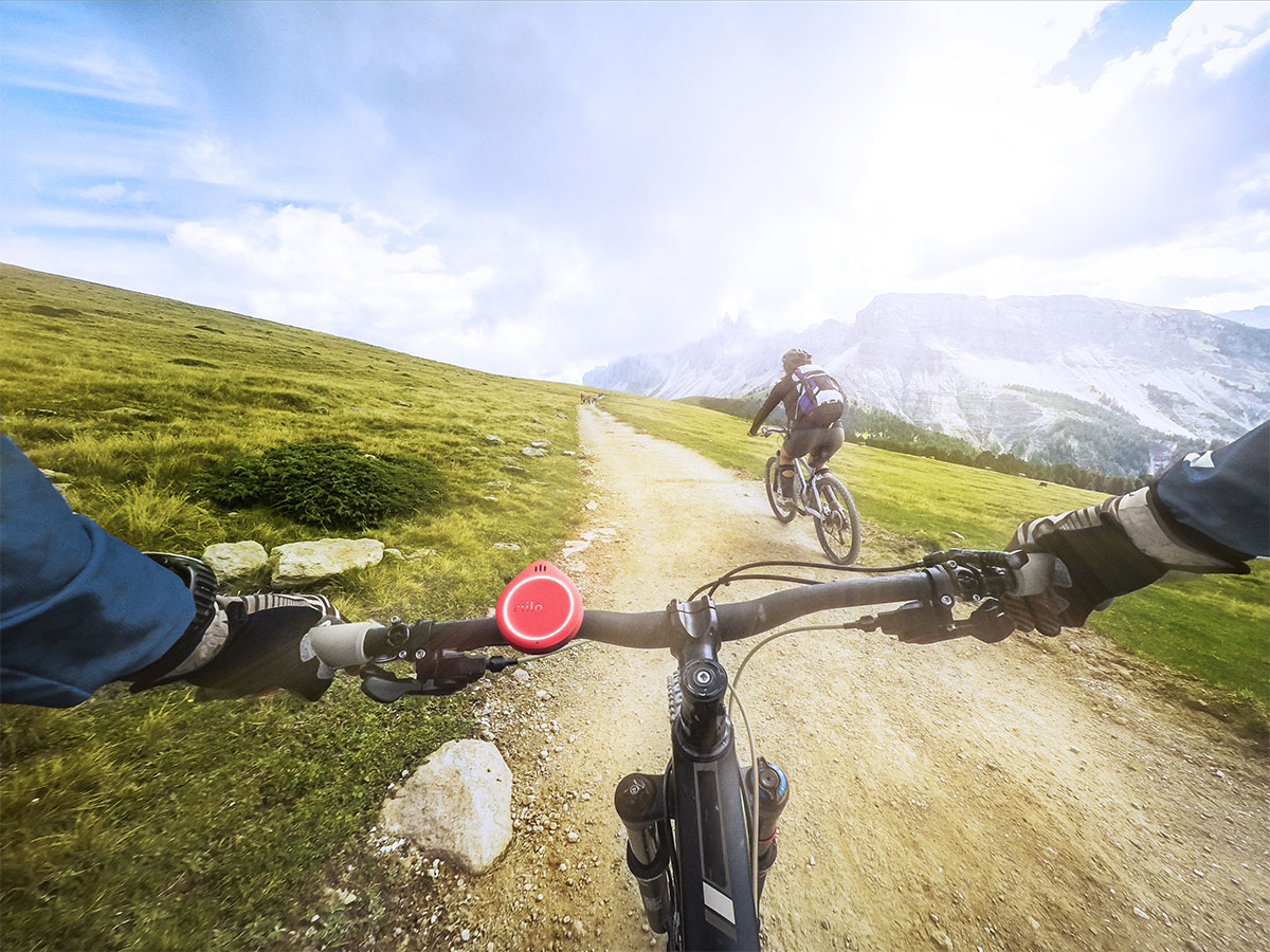 Redbull x Milo French