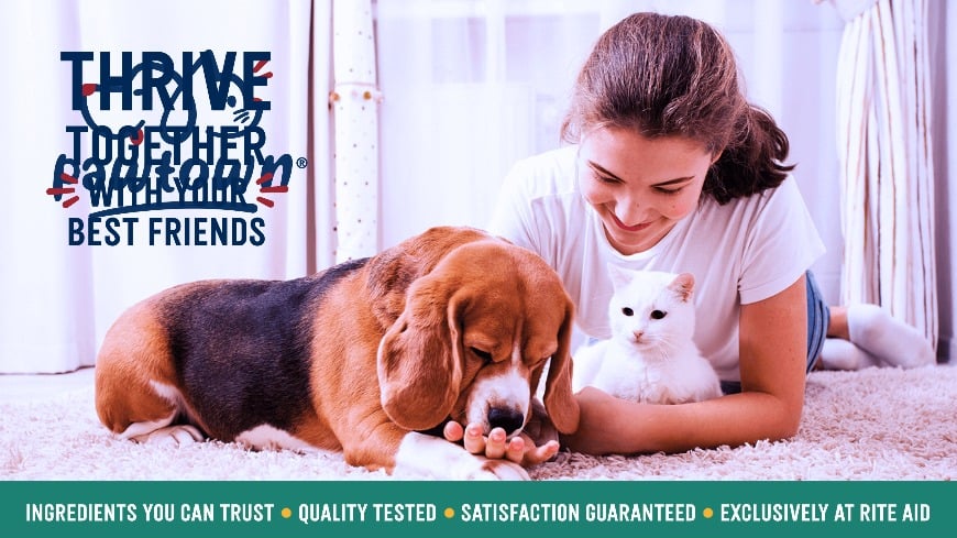 Pet Essentials final