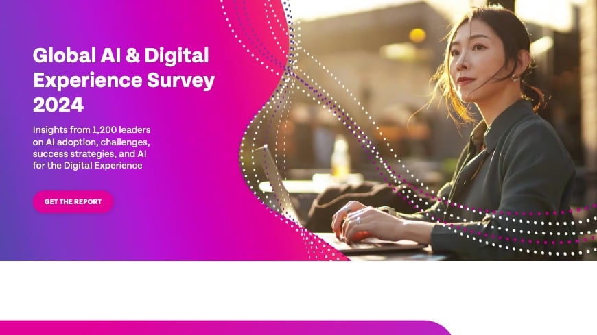 2024-Global-AI-DEX-Survey