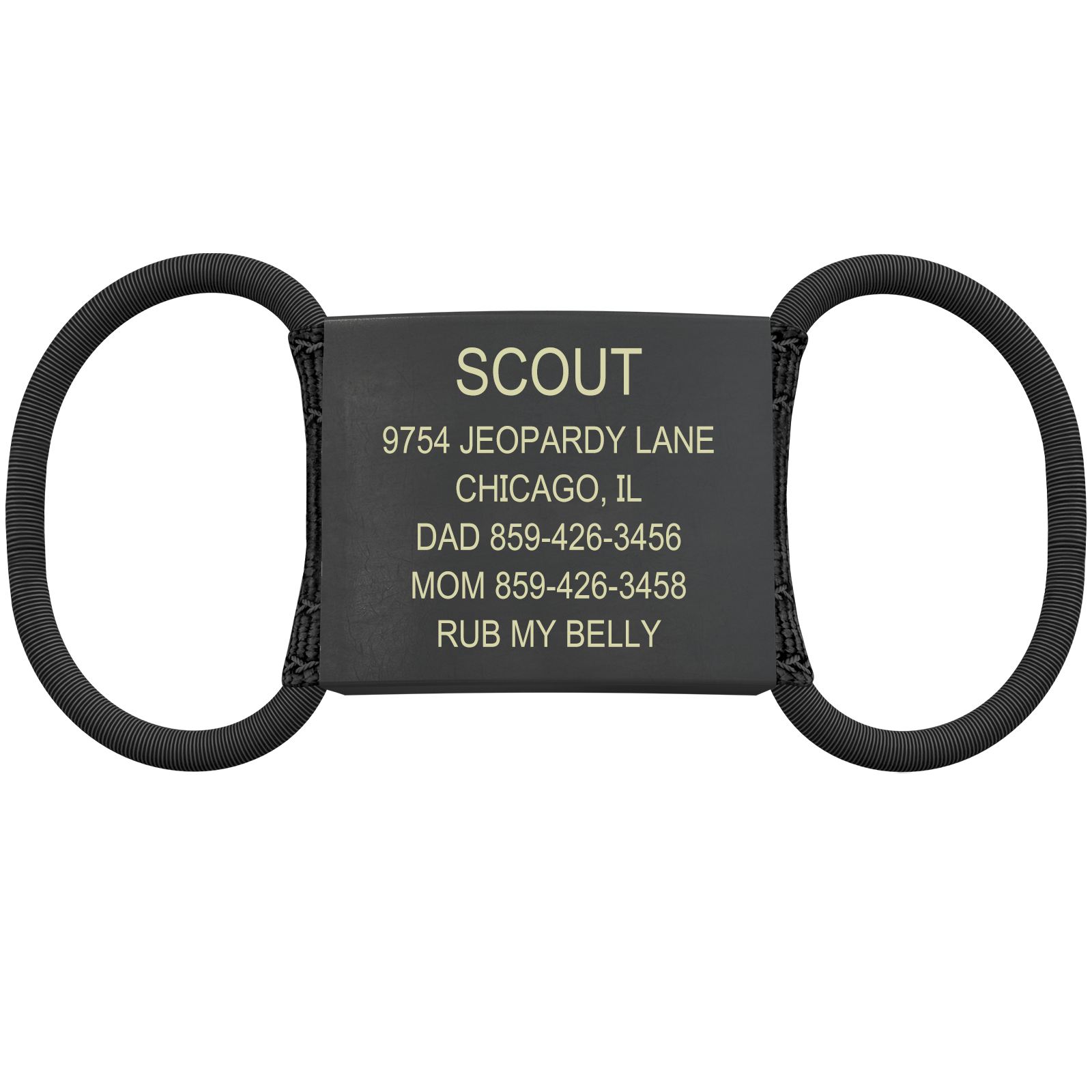 DOGiD-Q4-Fall Sale DOG iD w/ collection