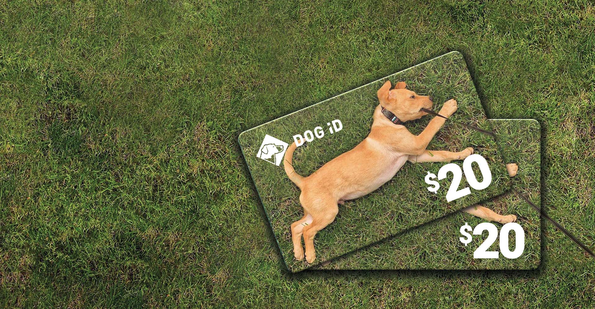 Dog iD Delivery tracker