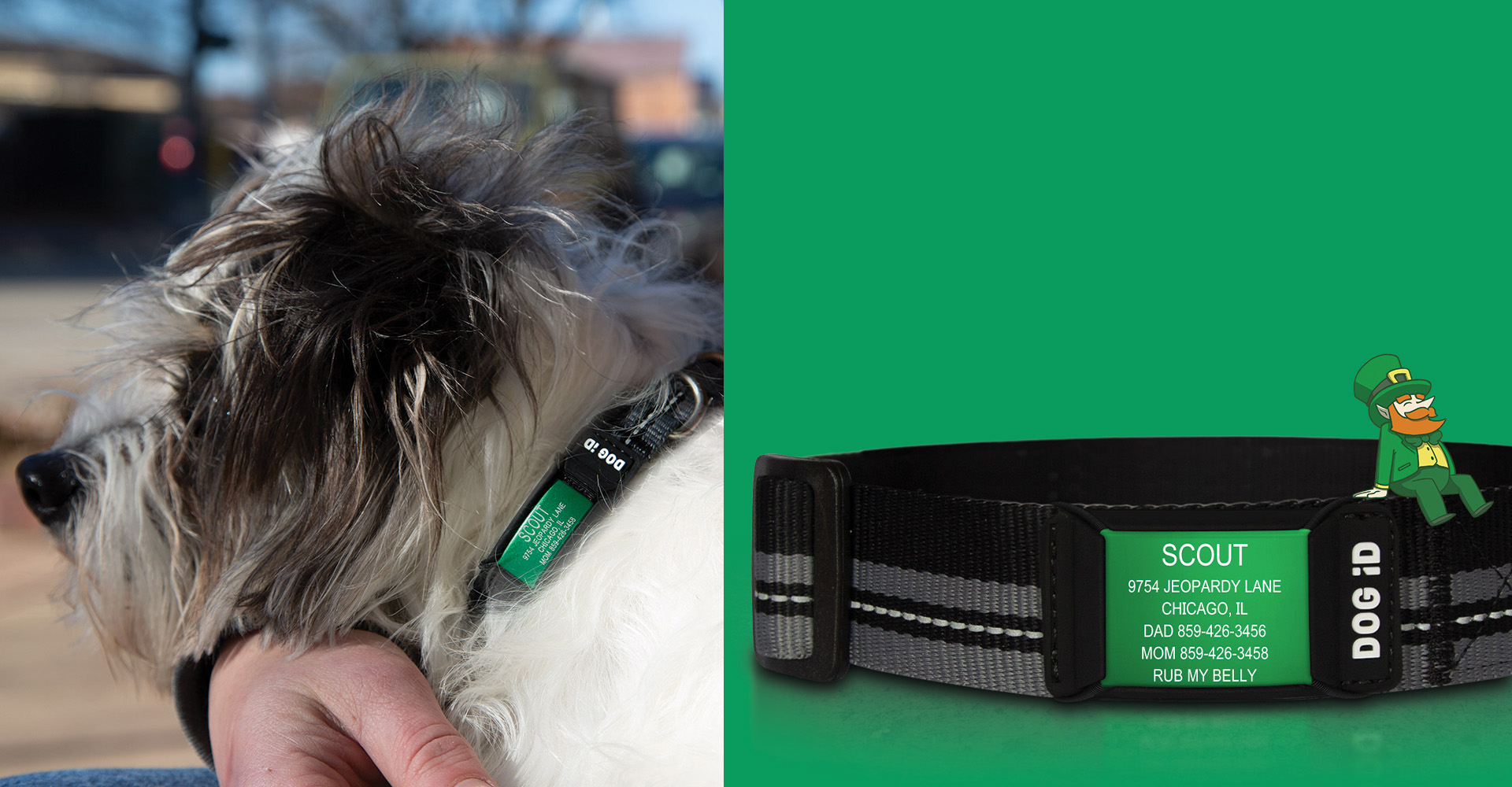 DOGID-Q1-Emerald Collection