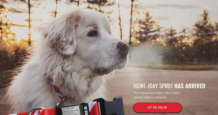 DOGiD-Q4-Holiday Dog iD 2021