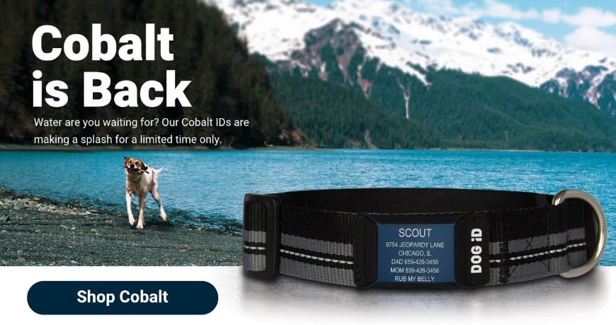 2022_Cobalt_Dogid_Site DOGID-Expansion