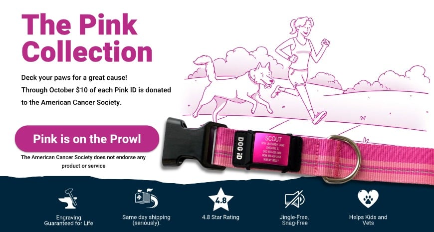 2022_BCA_Pink_DogiD