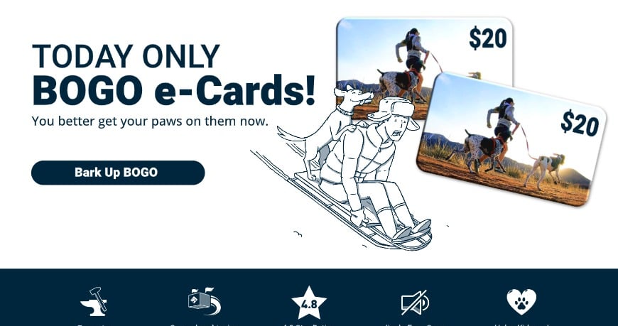 DID 2022 BOGO eGift cards