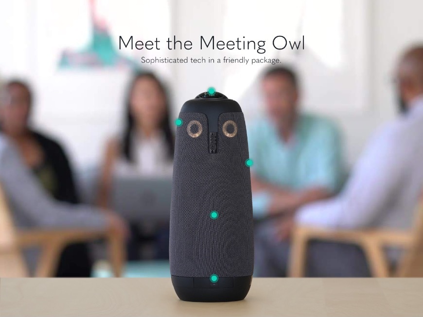 Owl Anatomy â Medium