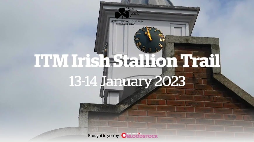 ITM Stallion Showcase 2023