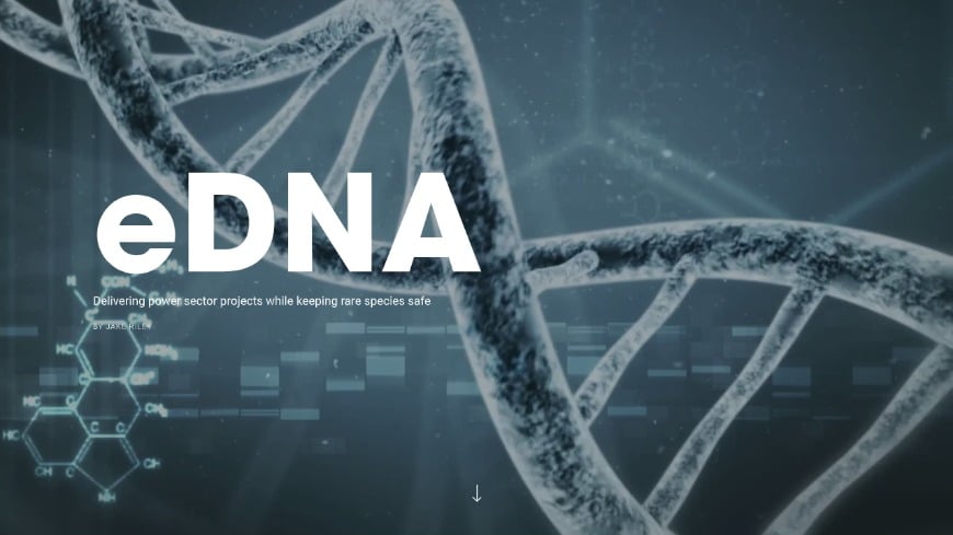 eDNA