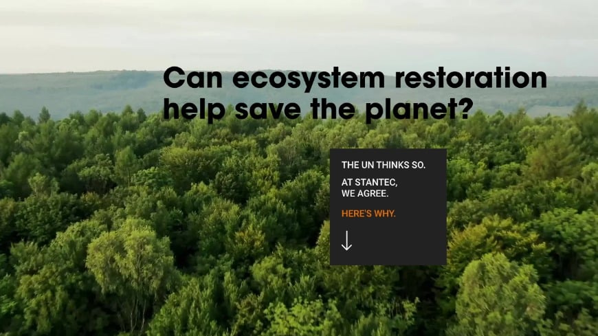Ecosystem Restoration