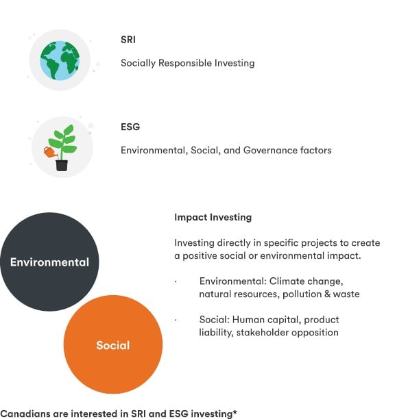 EN: What You Need to Know About Responsible Investing