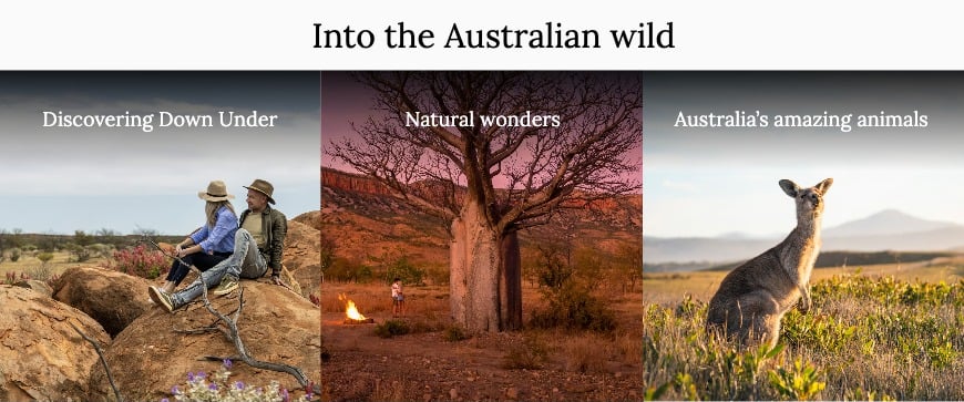 TA_Header__Replacement