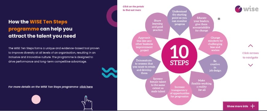INFOGRAPHIC 2 - WISE TEN STEPS PROGRAMME (STANDALONE)