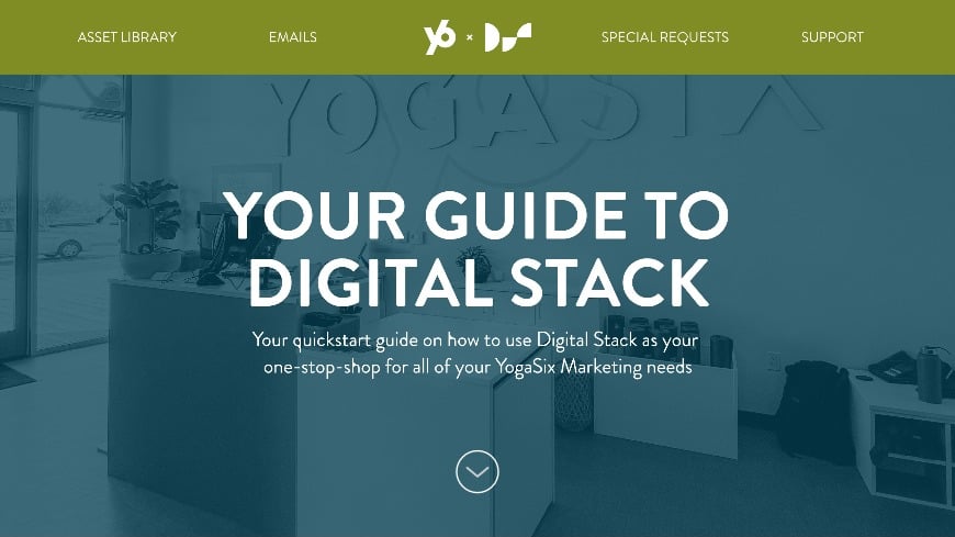 Your Guide To Ds